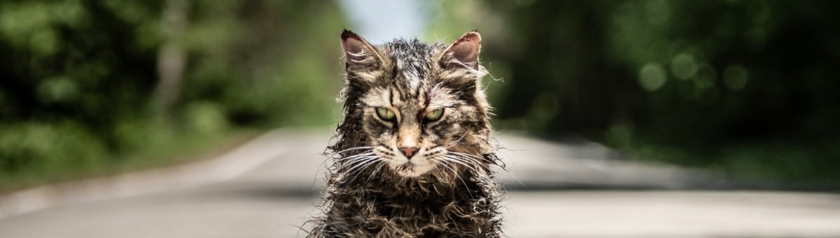 Première bande-annonce pour la nouvelle adaptation de PET SEMETARY ...