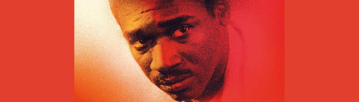 HARRY PLOTNICK SEUL CONTRE TOUS (Critique) – Les Chroniques de ...